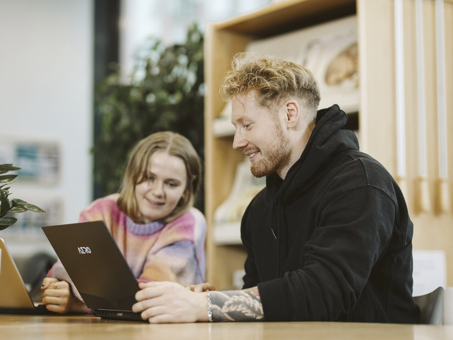 Library - Nordic Culture Point