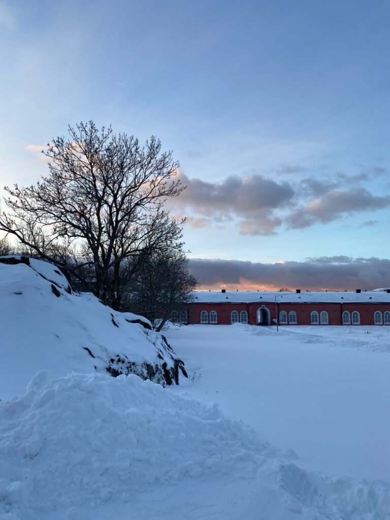 Webinar: Grant Programmes 2025 - Nordic Culture Point