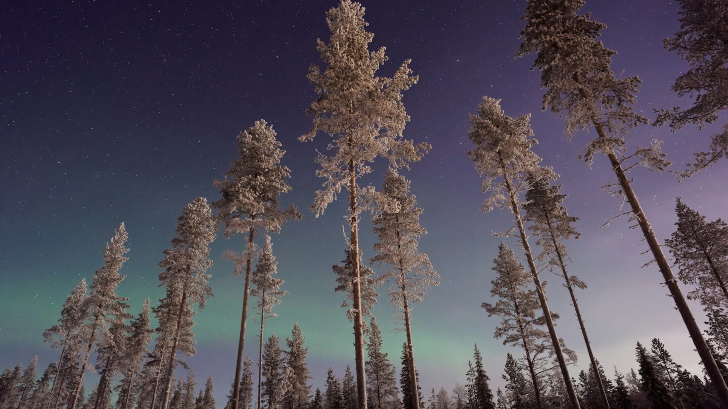 Dialogue on Trust Across Borders: Sweden–Finland - Nordic Culture Point